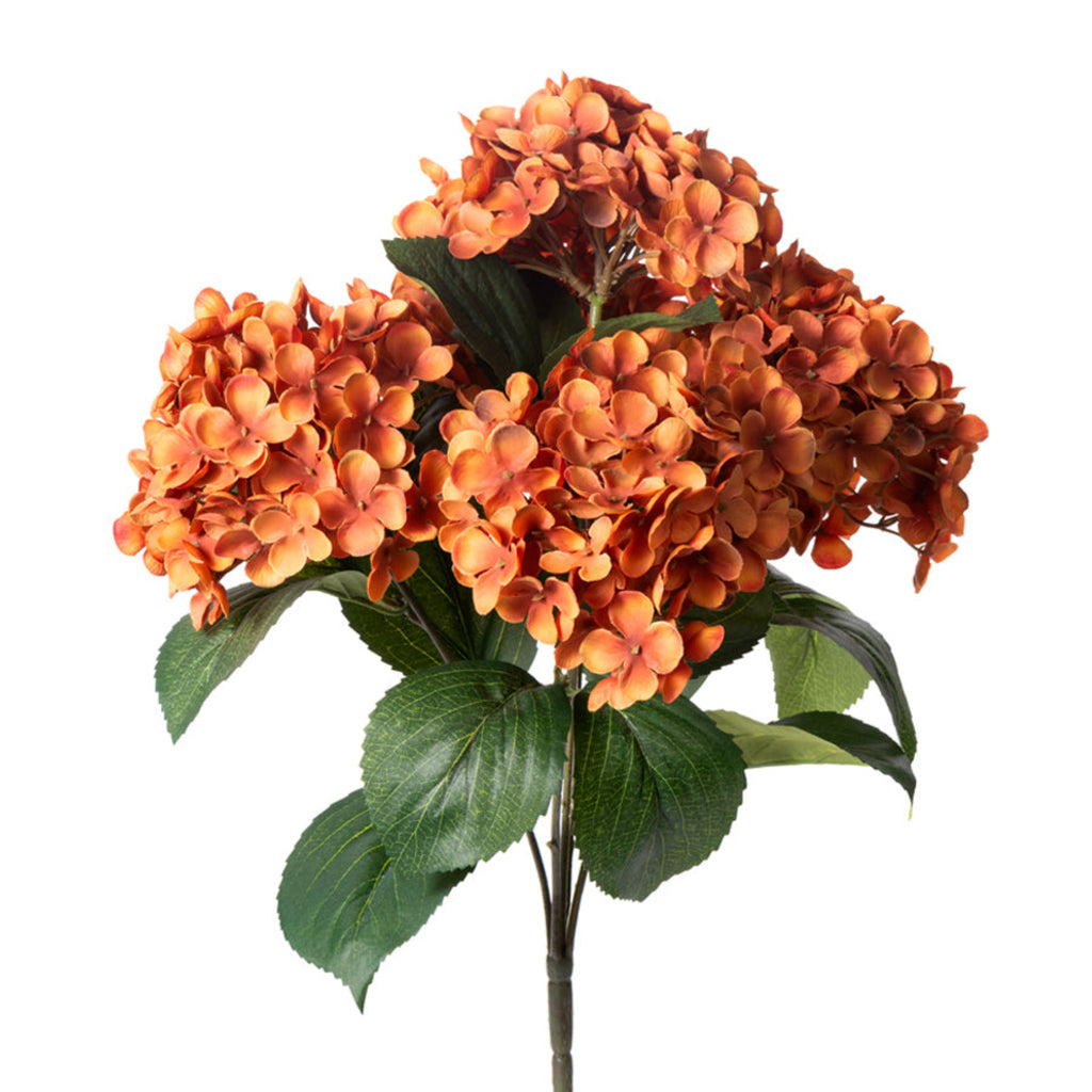 Rust Five Bloom Hydrangea, 18" – Miss Cayce's